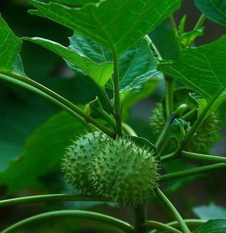 Apa Itu Arbitrasi? Berikut Pengertian, Jenis dan Contohnya - Semua ...