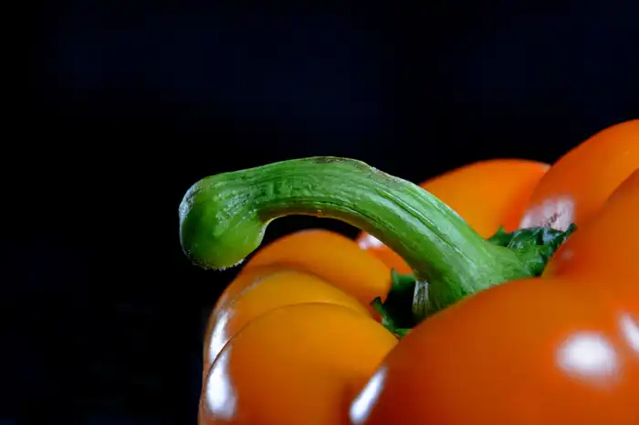 Mr. P Saya Bengkok, Penyebab dan Pengobatannya Bagaimana Ya Dok ...