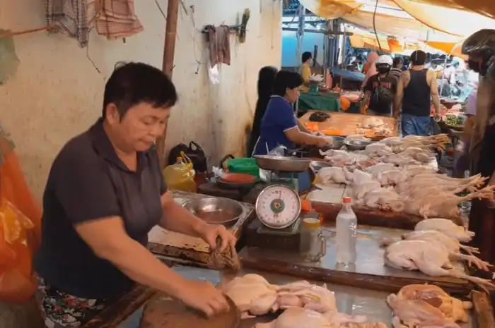 Pedagang di Pasar Kota Manado Keluhkan Anjloknya Harga Daging Ayam ...