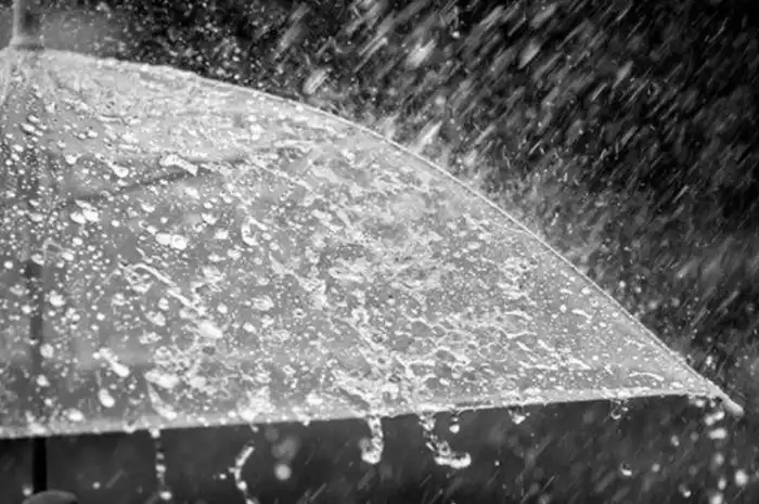 Waspada Hujan Angin di Jaksel dan Jaktim pada Siang hingga Sore Hari - Sonora.id