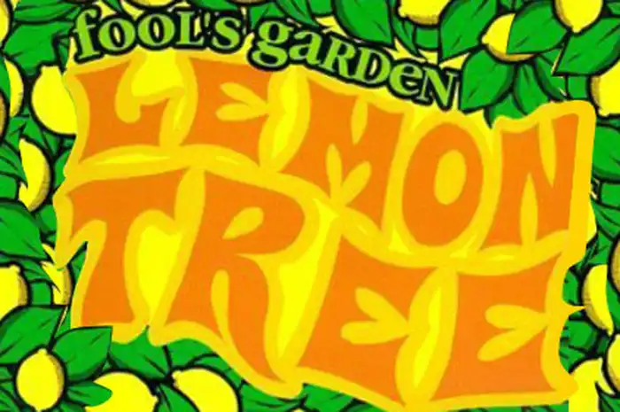Lirik Lagu 'Lemon Tree' - Fool's Garden, I Wonder How I Wonder Why ...