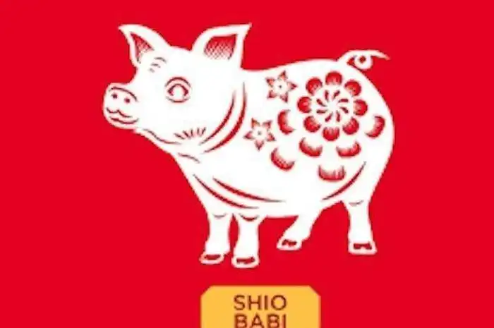5 Pekerjaan yang Cocok Untuk Shio Babi Menurut Ilmu Fengshui - Sonora.id