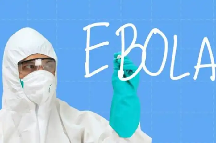 Kenali Virus Ebola: Gejala, Cara Penularan, Masa Inkubasi dan Cara ...