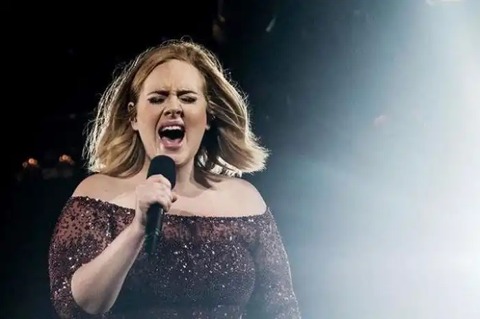 Lirik Lagu dan Terjemahan ‘Don’t You Remember' Milik Adele - Sonora.id