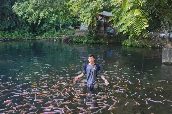 Keindahan Objek Wisata Mata Air Senjoyo Salatiga Jawa Tengah - Sonora.id