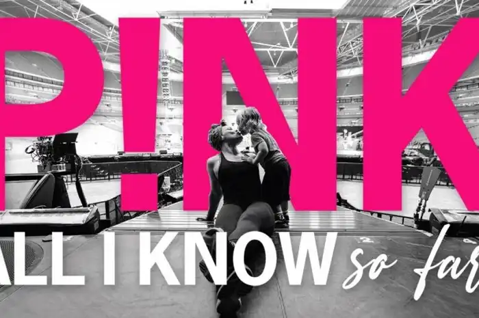 Lirik Lagu 'All I Know So Far' Milik Pink, Lengkap dengan Terjemahan ...