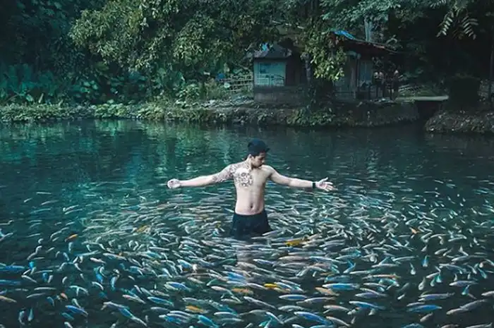 Menilik Keindahan Objek Wisata Mata Air Senjoyo Salatiga Jawa Tengah ...