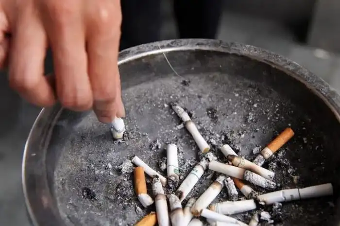 Wow, Ternyata Abu Rokok Bisa Bikin Tanaman Subur Loh! - Sonora.id