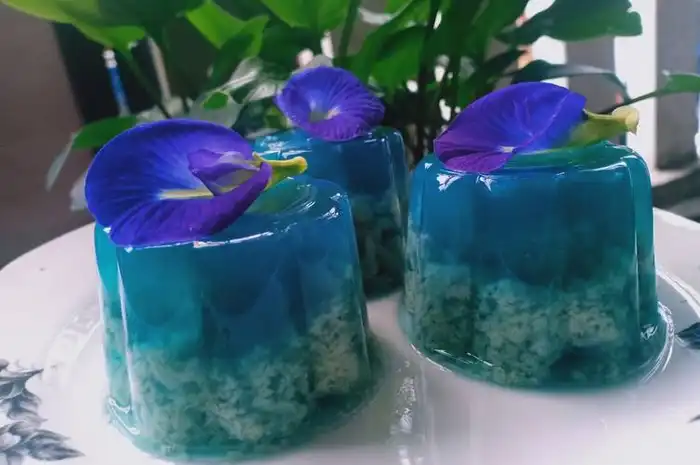 Menu Kreasi Camilan Nikmat dan Sehat, Berikut Resep Puding Bunga Telang ...
