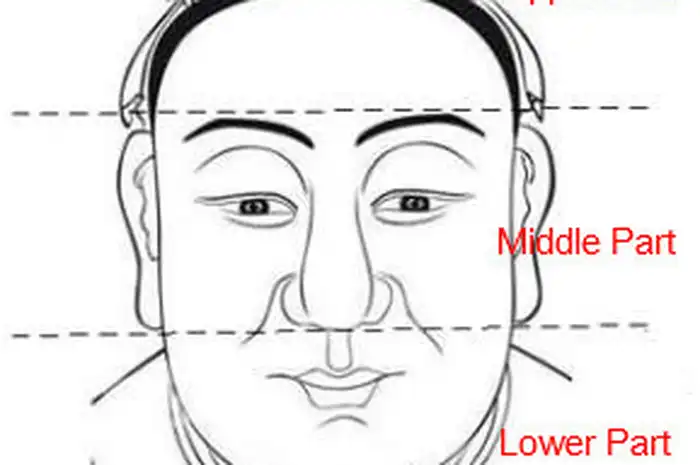 3 Proporsi Wajah yang Menguntungkan dalam Teknik Membaca Wajah - Sonora.id
