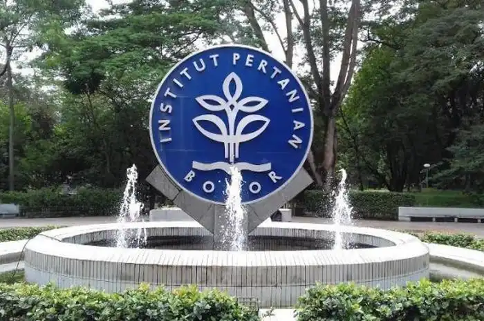 Daya Tampung SNBP IPB Tahun 2025 Lengkap Untuk Semua Jurusan - Sonora.id