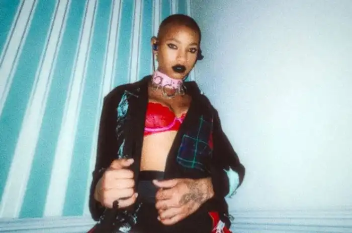 Lirik Lagu Dan Arti ‘wait A Minute Willow Smith But Im Here Right