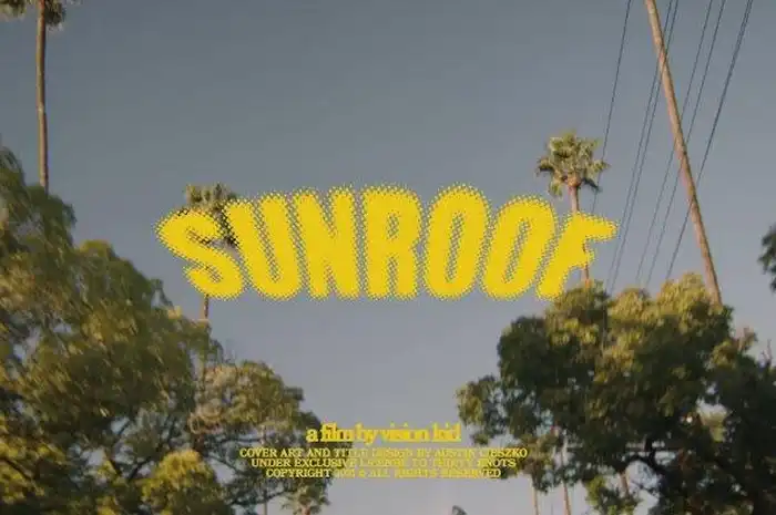 Lirik Lagu 'Sunroof' milik Nicky Youre & Dazy yang Viral di TikTok ...