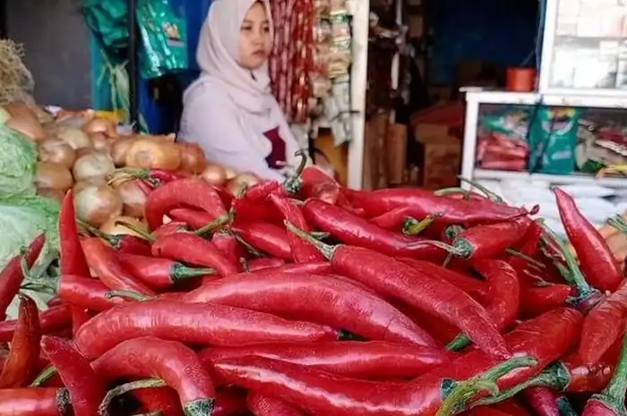 Terus Melambung Tinggi, Harga Cabai Merah Capai Di Kisaran Rp.80.000/Kg - Sonora.id
