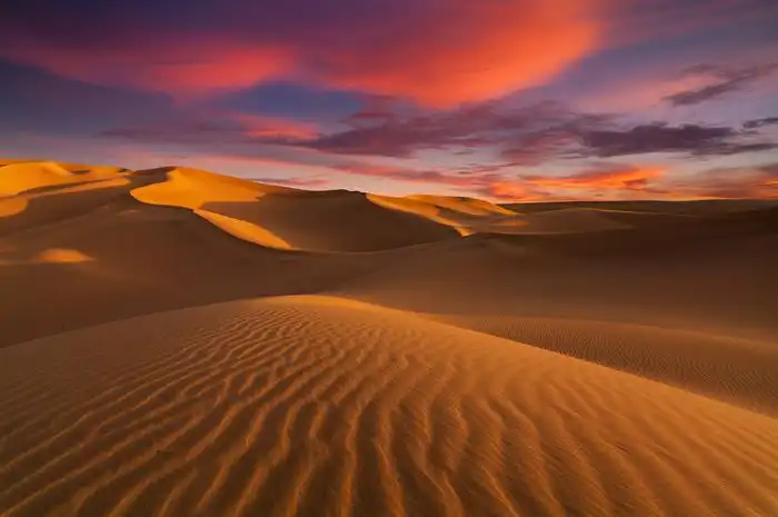 9 Fakta Gurun Sahara yang Viral di TikTok, Ada Apa Disana? - Sonora.id