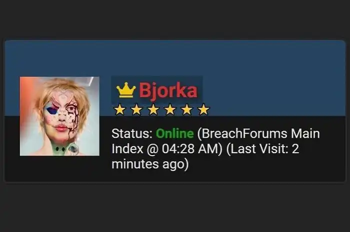 Viral Hacker Bjorka yang Retas Banyak Data Pemerintahan, Ini Arti ...