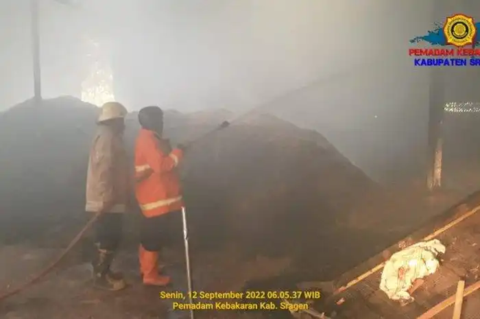 Diduga karena Percikan Api Mesin Las, Pabrik Briket Kayu Terbakar - Sonora.id