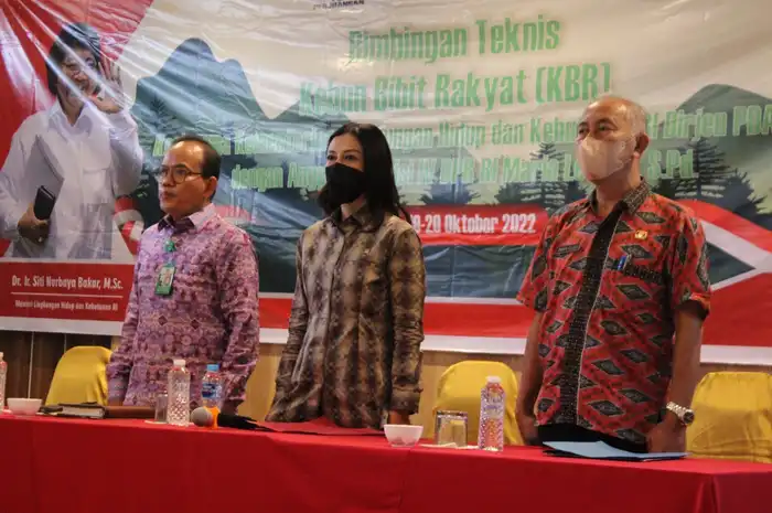 Wujudkan Alam yang Lestari, Bimtek Pemulihan Hutan dan Lahan Digelar di Kabupaten Landak - Sonora.id