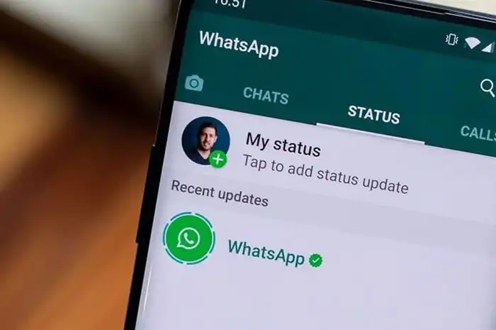Berikut Ini 4 Cara Download Status WA dengan Mudah dan Praktis! - Sonora.id