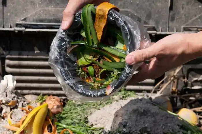 Contoh Limbah Organik dan Anorganik beserta Ciri dan Jenisnya - Sonora.id