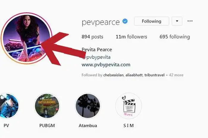 Cara Download Foto Profil Instagram Biar Kita Bisa Lihat Secara Penuh ...