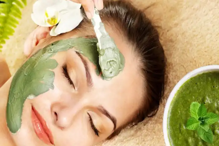 Manfaat Daun Sirih untuk Wajah Agar Kulit Sehat dan Glowing - Sonora.id