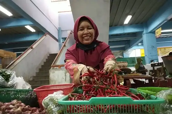 Curah Hujan Tinggi, Harga Cabai Berfluktuasi Sangat Tajam Selama ...