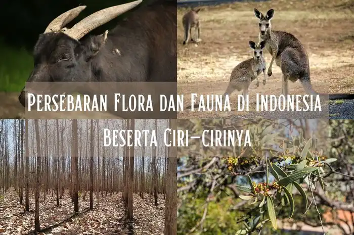 Persebaran Flora dan Fauna di Indonesia, Lengkap dengan Ciri-cirinya ...