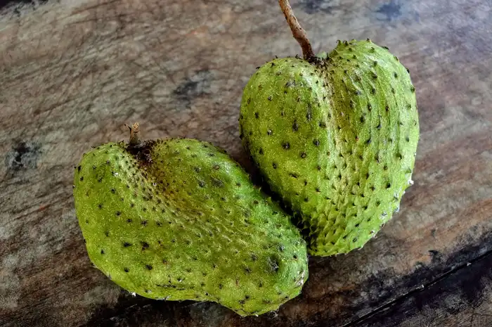 12 Manfaat Buah Sirsak Baik Untuk Kesehatan Tubuh hingga Kulit - Sonora.id