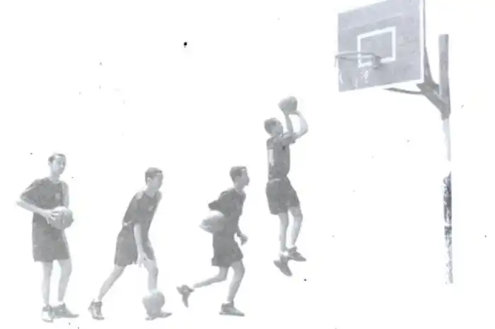 Cara Melakukan Lay Up dalam Permainan Bola Basket: Teknik Tembakan ...