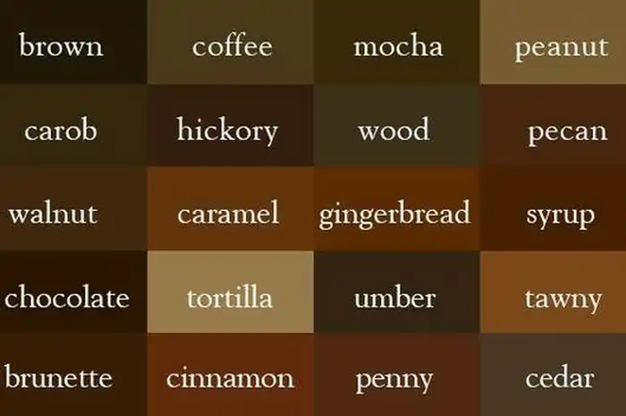 10 Macam Warna Coklat: Sejaran Hingga Fakta Unik di Baliknya - Sonora.id