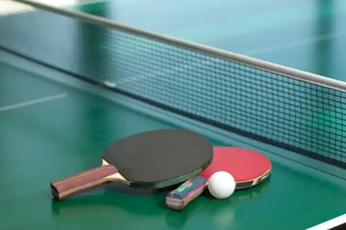 5 Teknik Dasar Tenis Meja yang Perlu Diperhatikan Pemain Sebelum ...