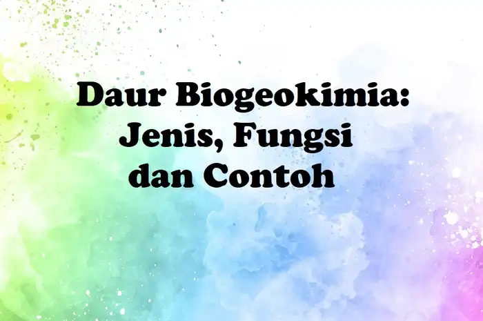 Daur Biogeokimia: Jenis, Fungsi dan Contoh - Sonora.id