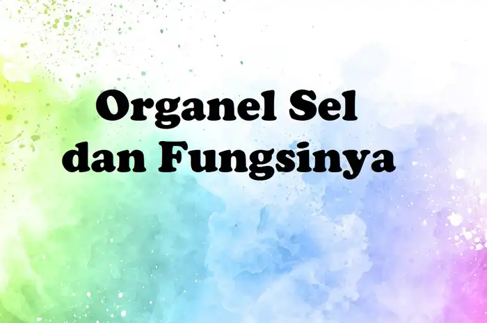 13 Organel Sel dan Fungsinya, Materi Biologi SMP Kelas 7 - Sonora.id