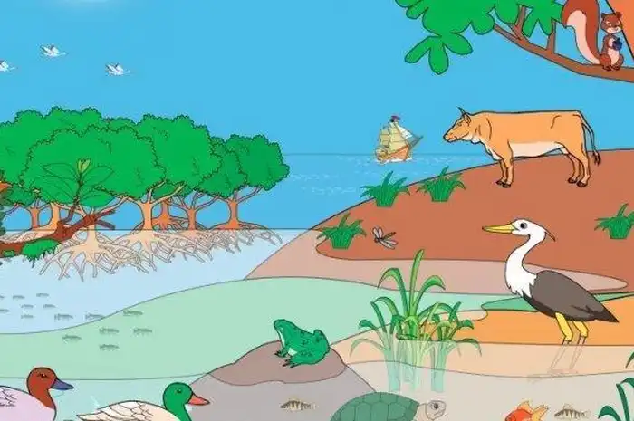 Penjelasan Ekosistem: Pengertian, Komponen, Jenis, dan Contohnya ...