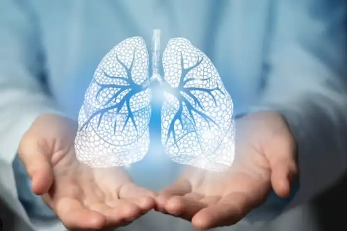 Fungsi Bronkus dalam Sistem Pernapasan, Beserta Penjelasannya - Sonora.id