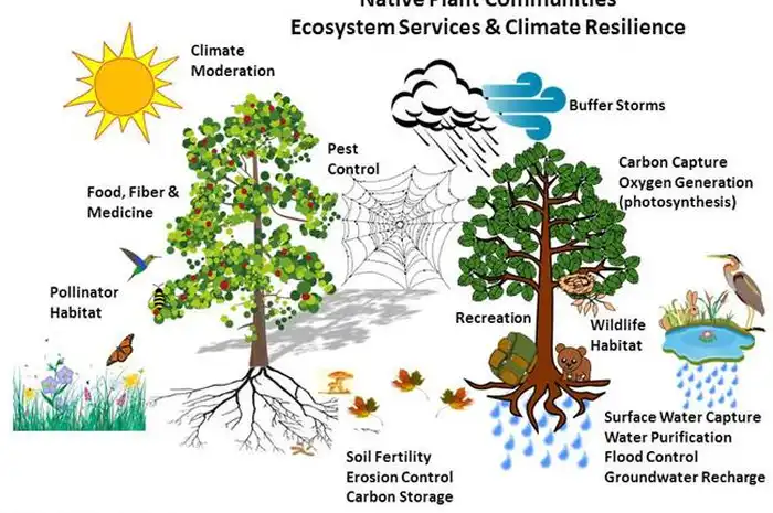 Jenis-Jenis Interaksi dalam Ekosistem, Materi Biologi Kelas 10 - Sonora.id