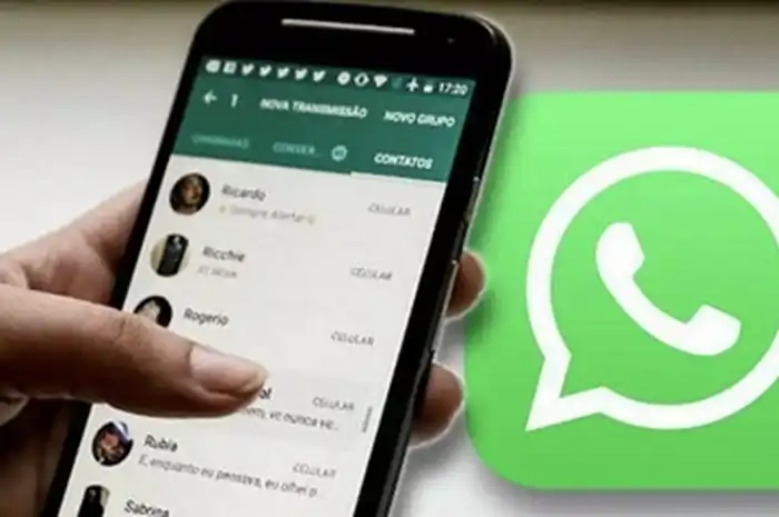 7 Cara Melamar Kerja Lewat WA dan Contoh Chatnya: Praktis dan Sopan ...