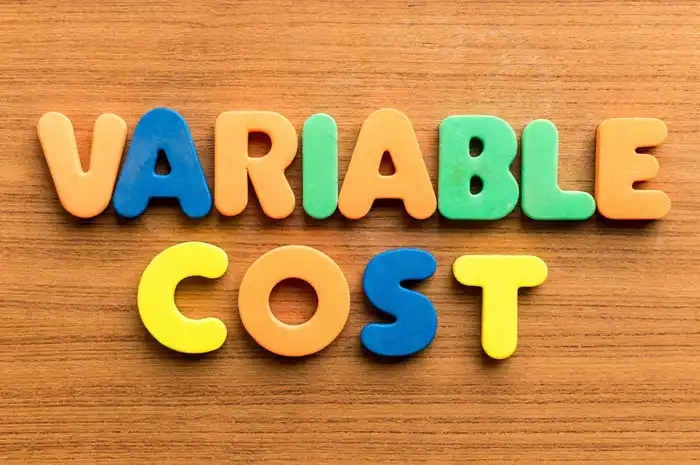 Mengenal Pengertian Biaya Variabel dengan Ciri-ciri, Contoh, dan Rumus ...