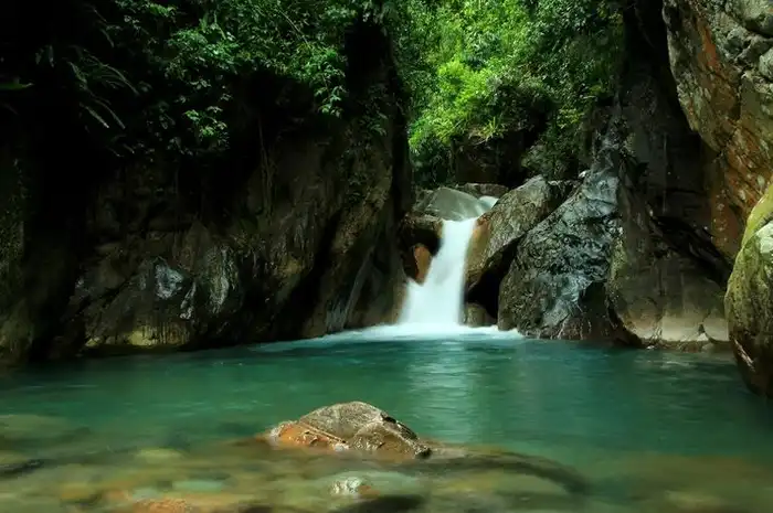 Menjelajah Wisata Bogor dengan Pesona dan Keindahan Alamnya - Sonora.id