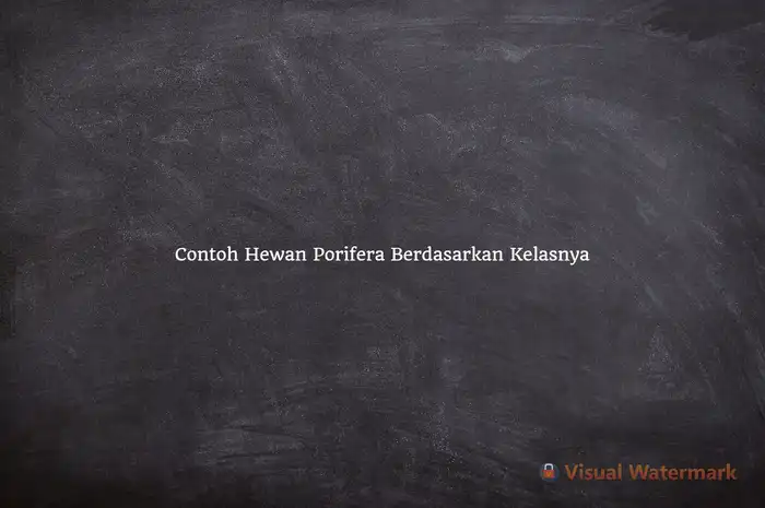 Contoh Hewan Porifera Berdasarkan Kelasnya: Materi Biologi - Sonora.id