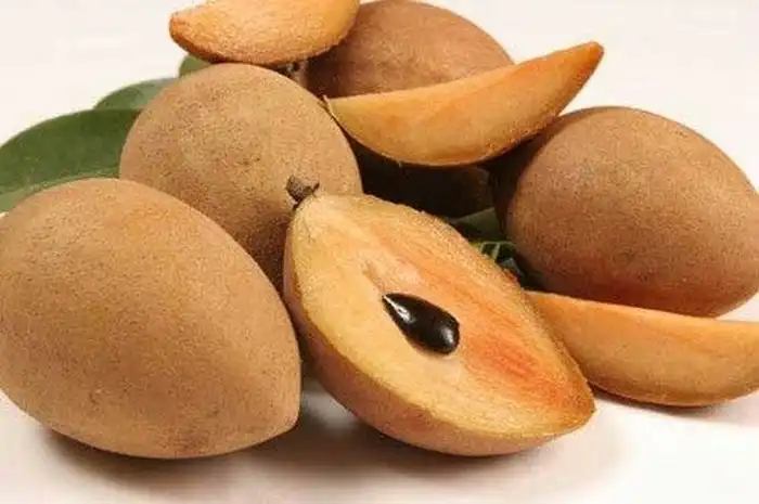 7 Manfaat Sawo yang Perlu Diketahui, Bagus untuk Mata dan Kulit - Sonora.id