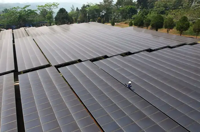 Investor Timur Tengah Lebih Tertarik pada Renewable Energy - Sonora.id