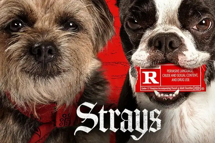 Sinopsis Film 'Strays' Kisah Lucu Anjing Border Terrier yang Dibuang ...