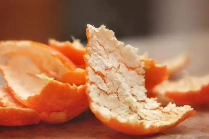 Manfaat Luar Biasa Kulit Jeruk dalam Membasmi Gerombolan Semut di Rumah ...