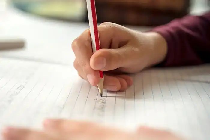 40 Contoh Soal PTS IPS Kelas 9 Semester 1, Beserta Jawabannya! - Sonora.id