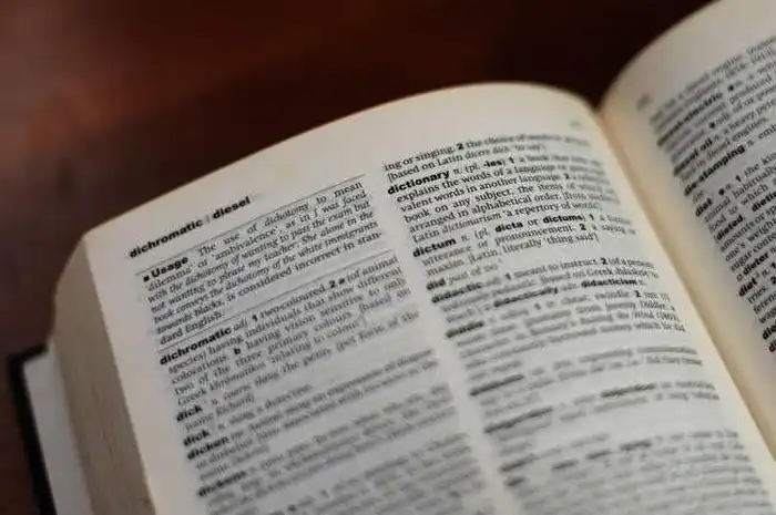 30 Contoh Kalimat Menggunakan Kata Any dan Some, Lengkap dengan ...