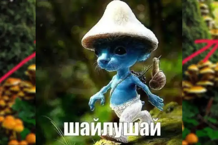 Arti Meme Smurf Cat (Kucing Biru) yang Viral, Maksud dan Asal-usul ...