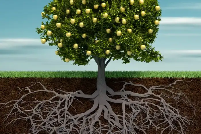 9 Contoh Tumbuhan Akar Tunggang yang Mudah Ditemui - Sonora.id