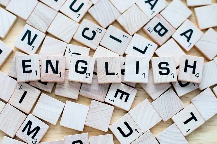 20 Contoh Kalimat Compound Complex Sentence, Beserta Penjelasannya ...